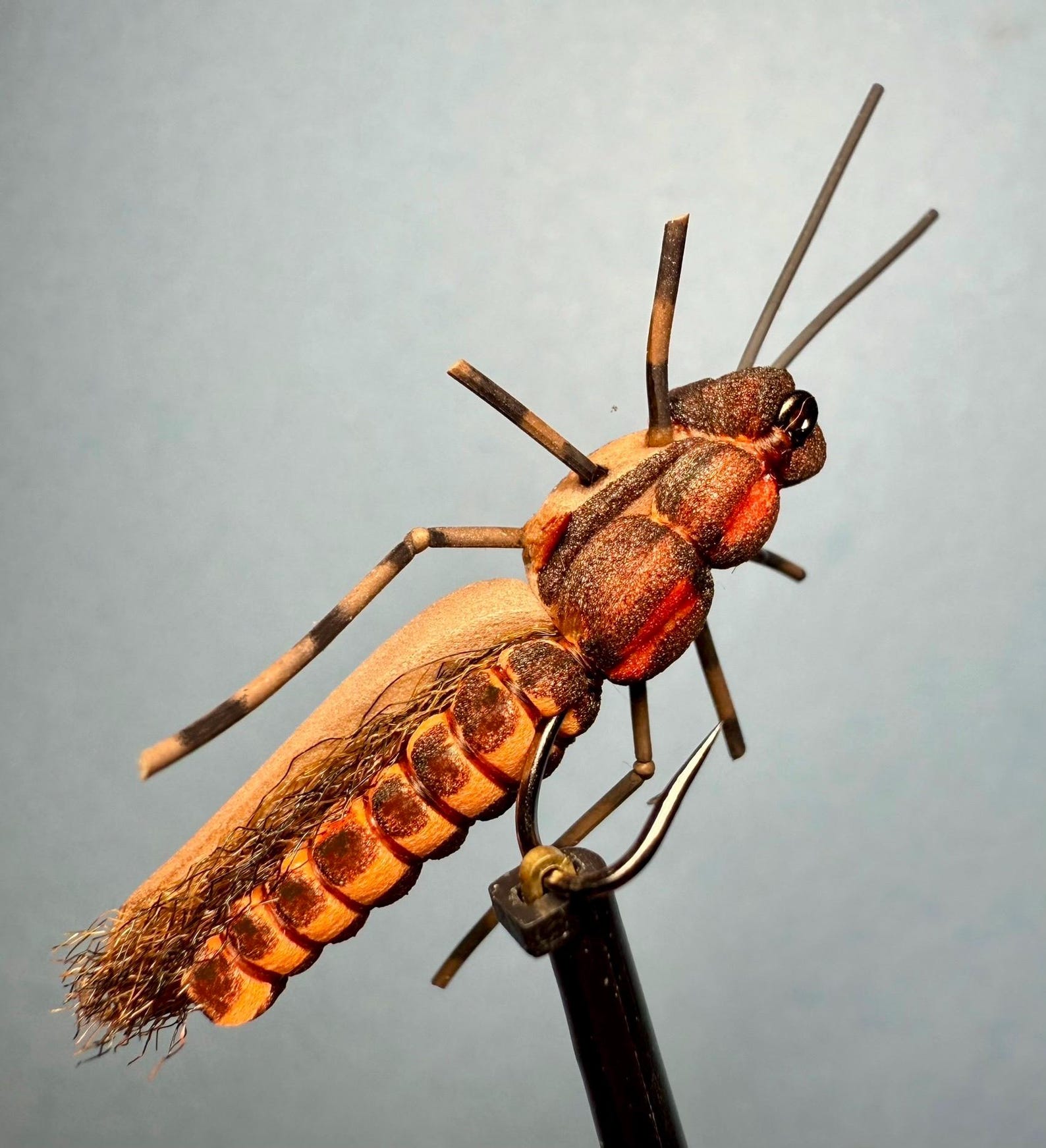 Salmon Fly / Stone Fly - Extended Body - Etsy