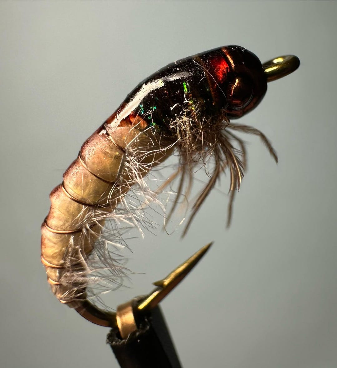 Caddis Nymph Fly Pattern - Etsy