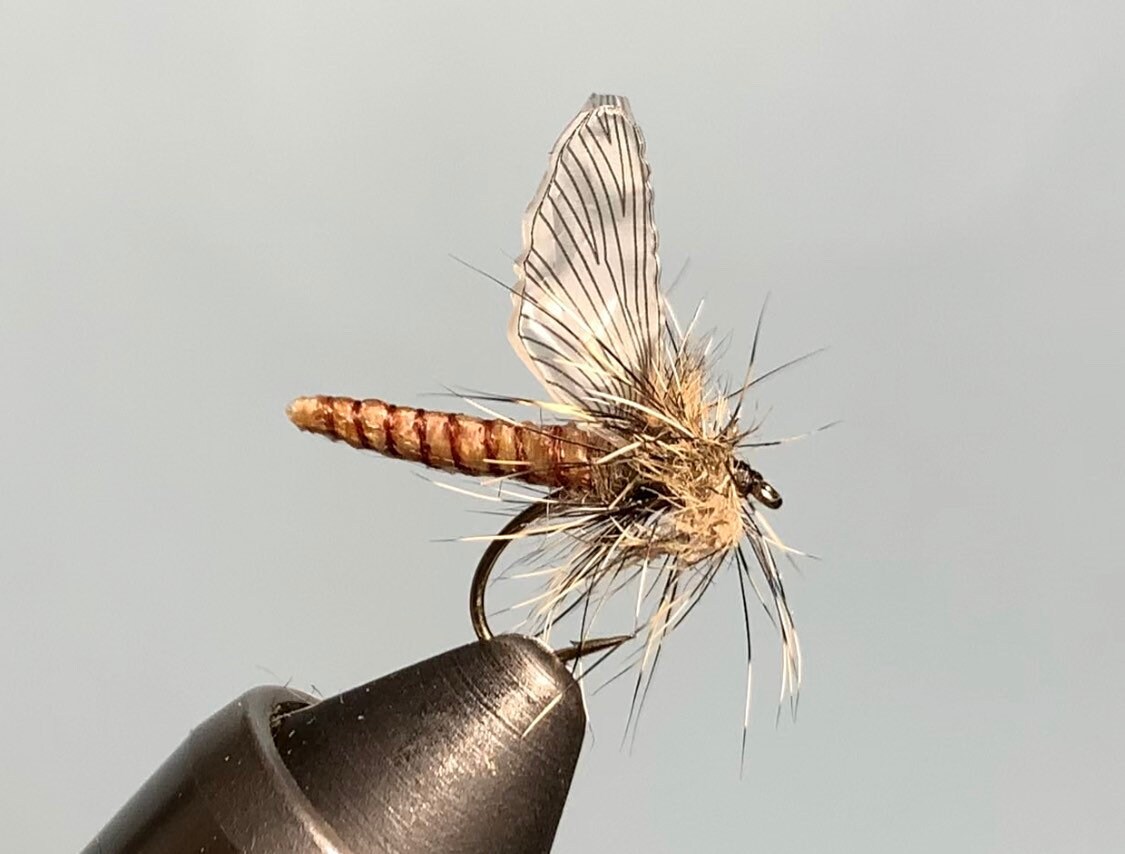 Extended Body Mayfly - Etsy