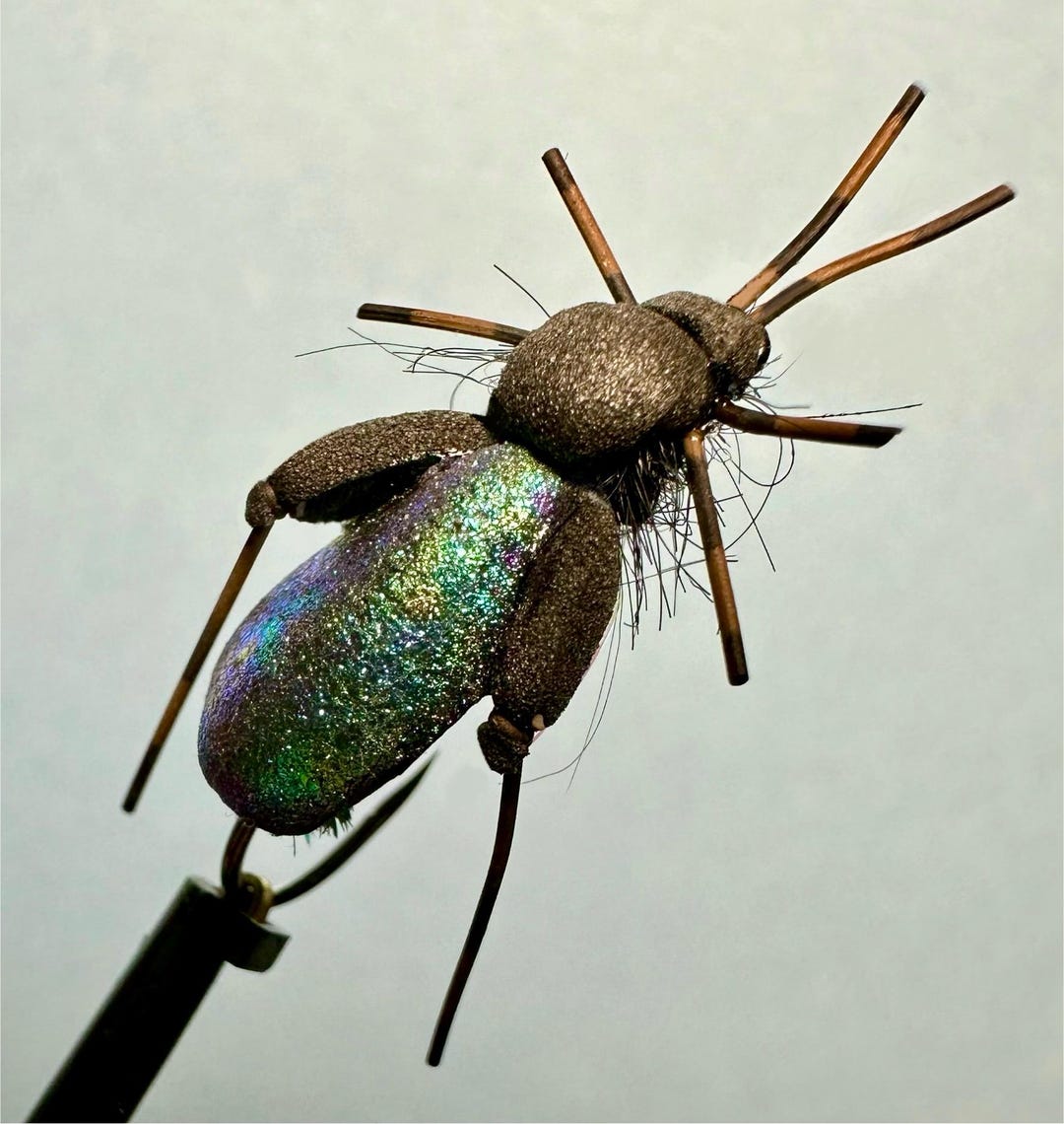 Vincent's Beetle - Foam Terrestrial Dry Fly Pattern for Fly Fishing ...