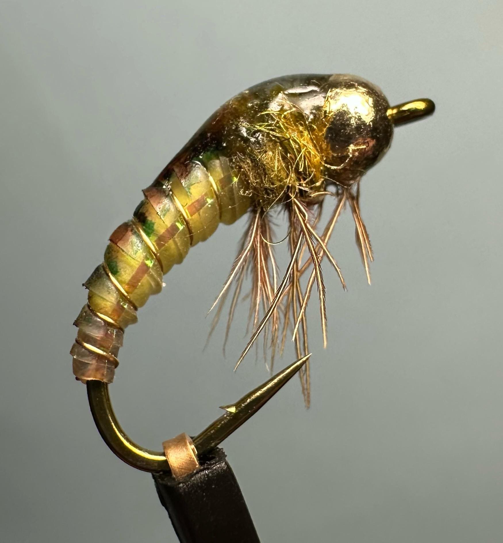 Caddis Nymph Fly Pattern - Etsy