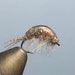 Scud - Tungsten Weighted (fly Fishing / Ice Fishing) - Etsy