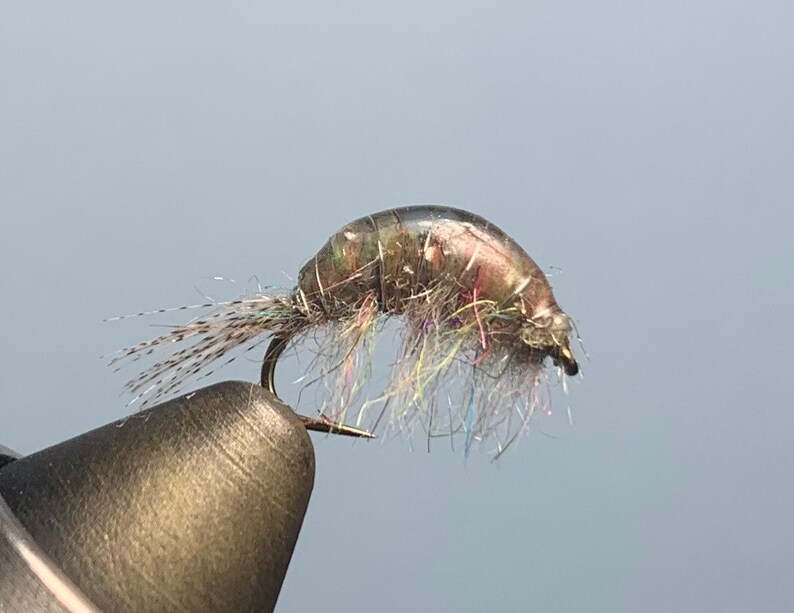 Scud - Tungsten Weighted (fly Fishing / Ice Fishing) - Etsy