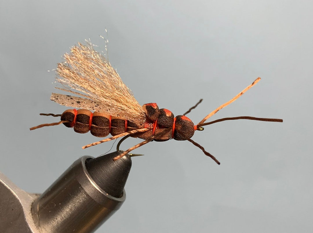 Salmon Fly / Stone Fly - Extended Body - Etsy