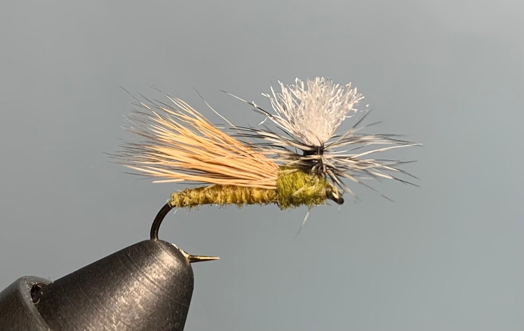 Parachute Caddis - Dry Fly Pattern for Fly Fishing Freshwater Trout - Etsy