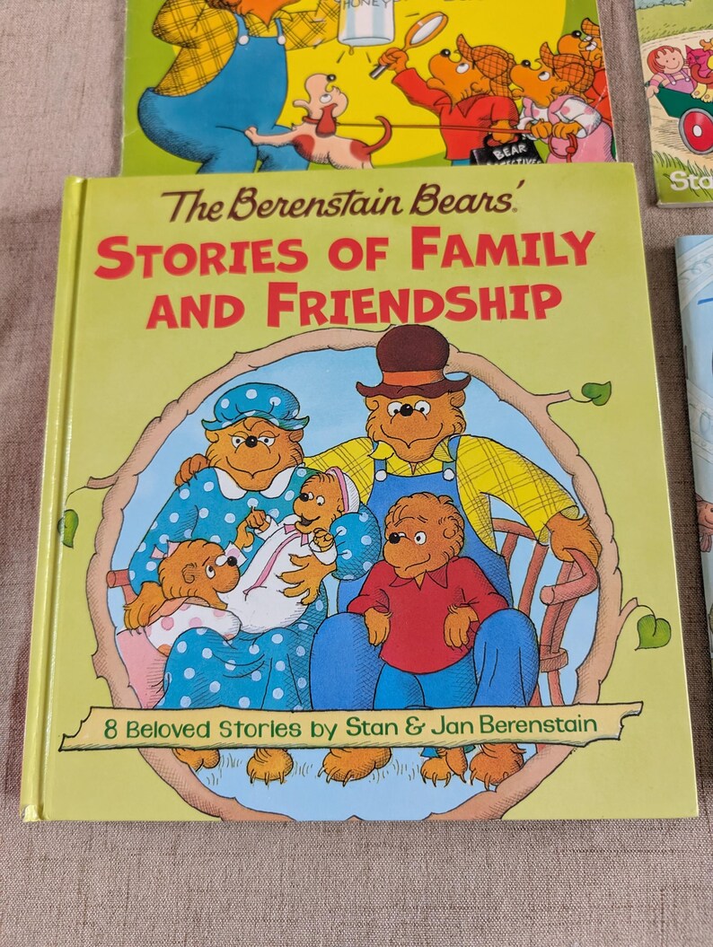 Bernstain Bears Book Bundle - Etsy