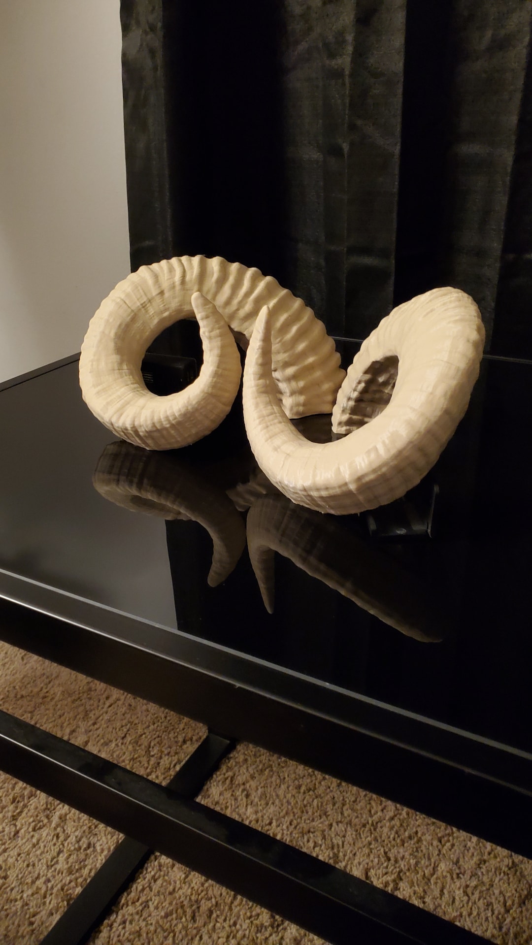Rams Horns pair Multiple Sizes - Etsy