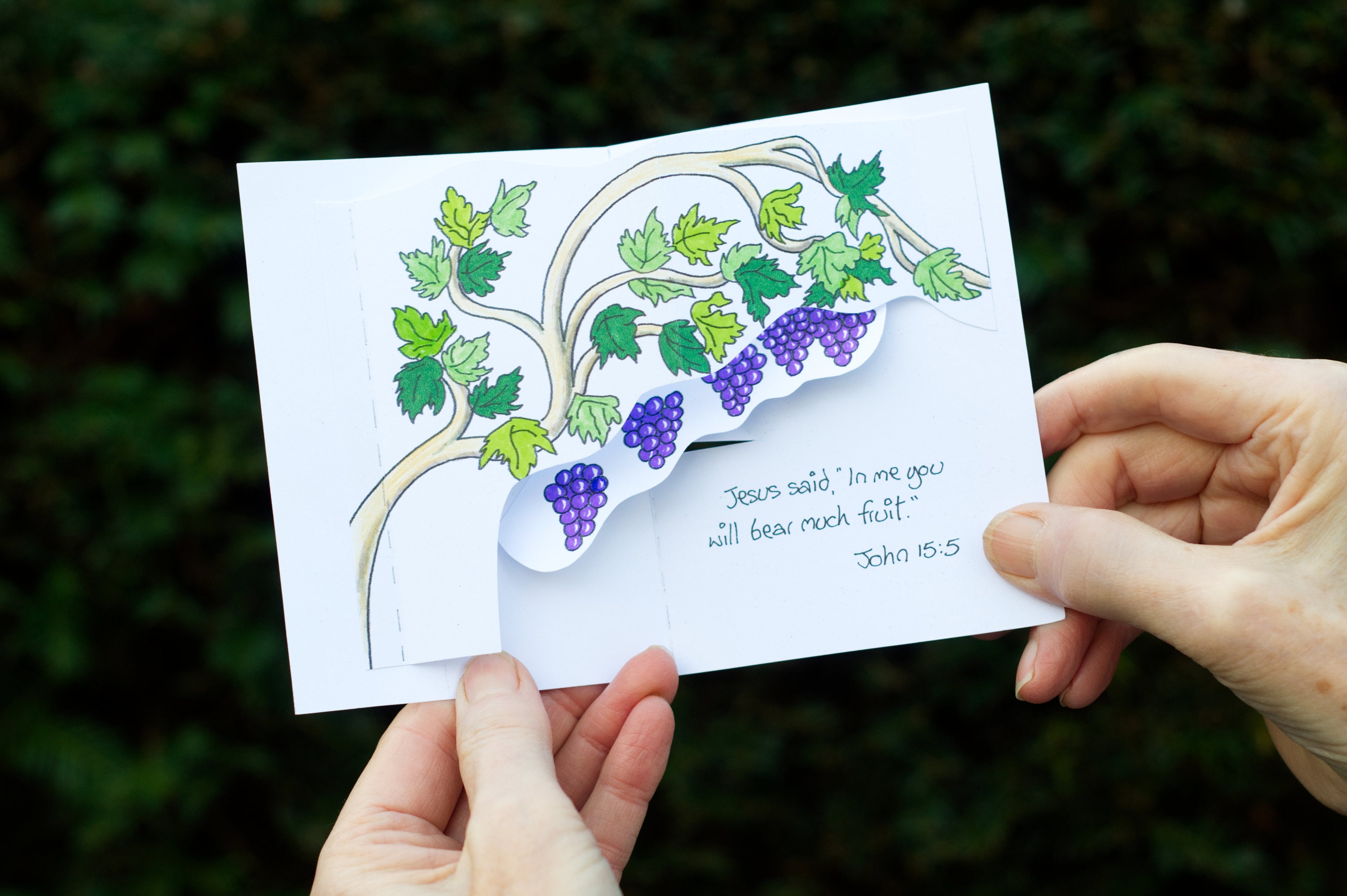 Jesus is the True Vine Bible Craft Template Digital PDF Download - Etsy