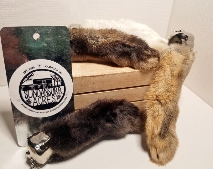 Foot Anatomy Keychain Human Foot, Podiatry Keychain - Etsy Canada