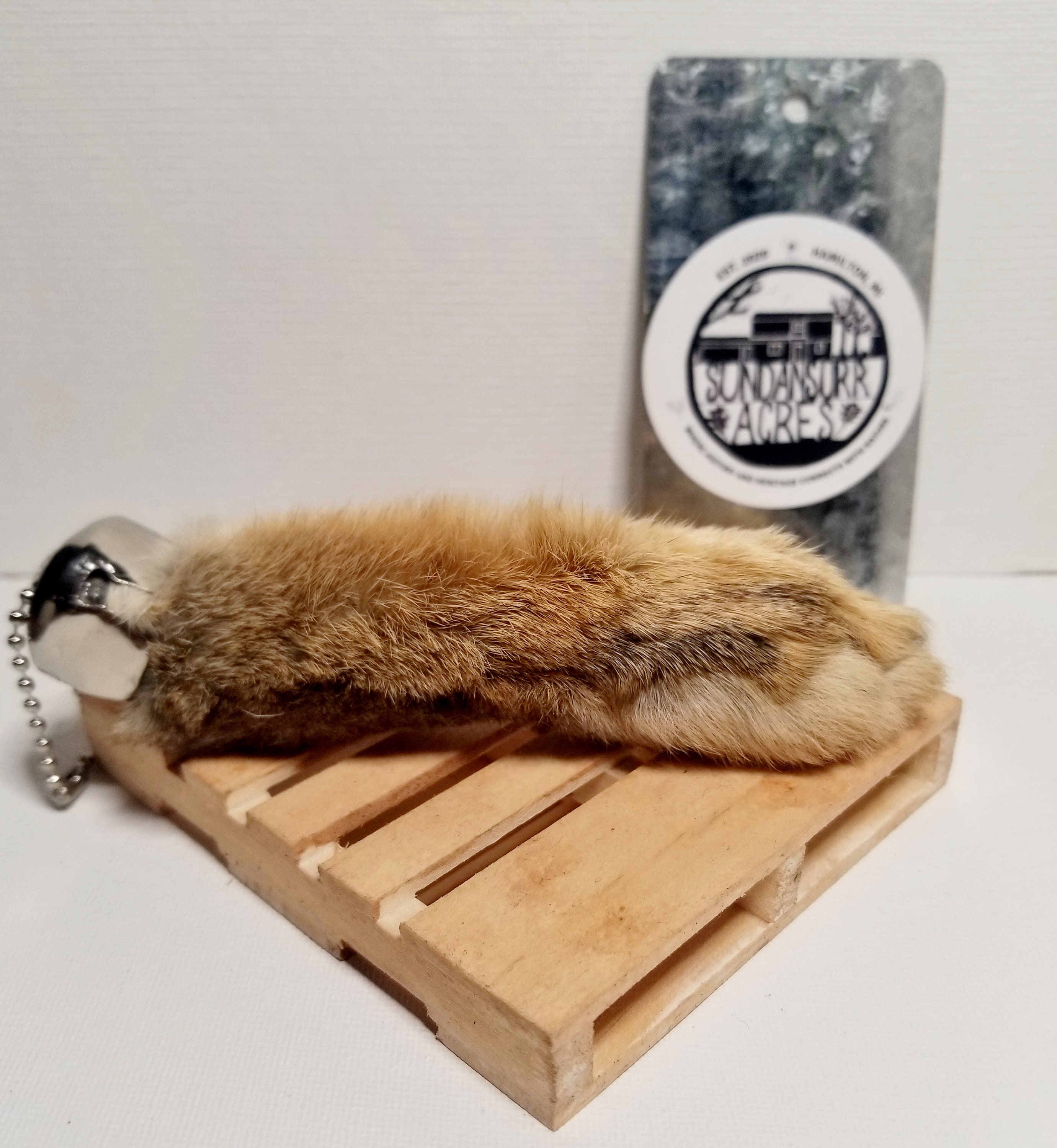 Lucky Rabbits Foot - Etsy