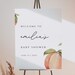 Peach Baby Shower Sign, Welcome Sign Baby Shower, Little Peach is on ...