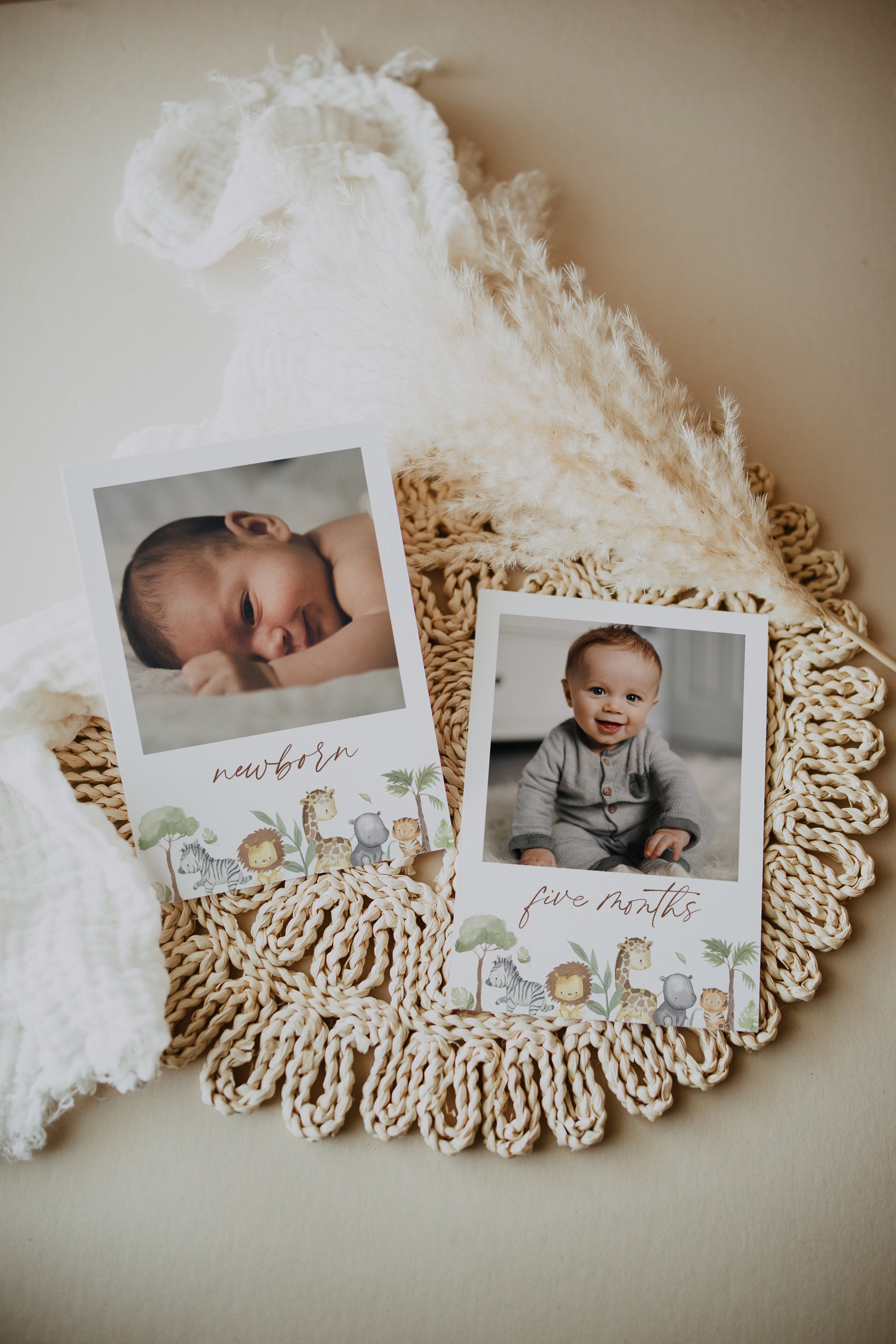 Wild One 1st Birthday Bundle Safari Animal Wild One Birthday - Etsy