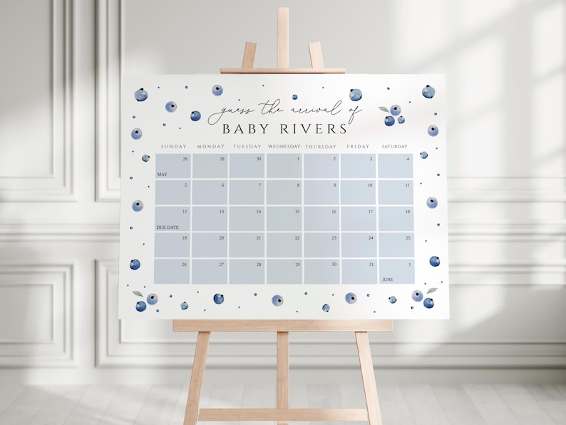 100 Editable Blueberry Baby Shower Games and Signs, Blueberry Baby ...