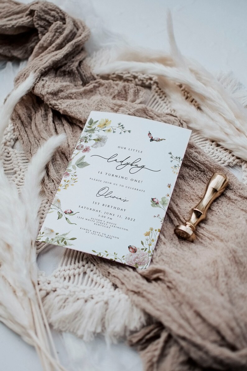 Ladybug Birthday Invitation, Girl Bug First Birthday Invitation, 1st ...