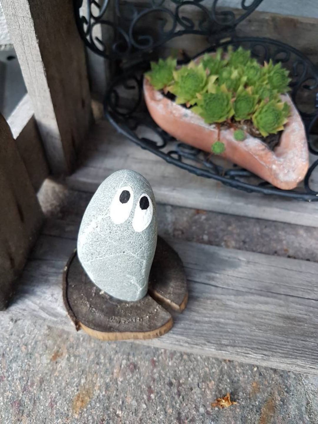 SMALL STONE Moth, Cute Little Stone, Cute Little Stone Moth on Wooden ...