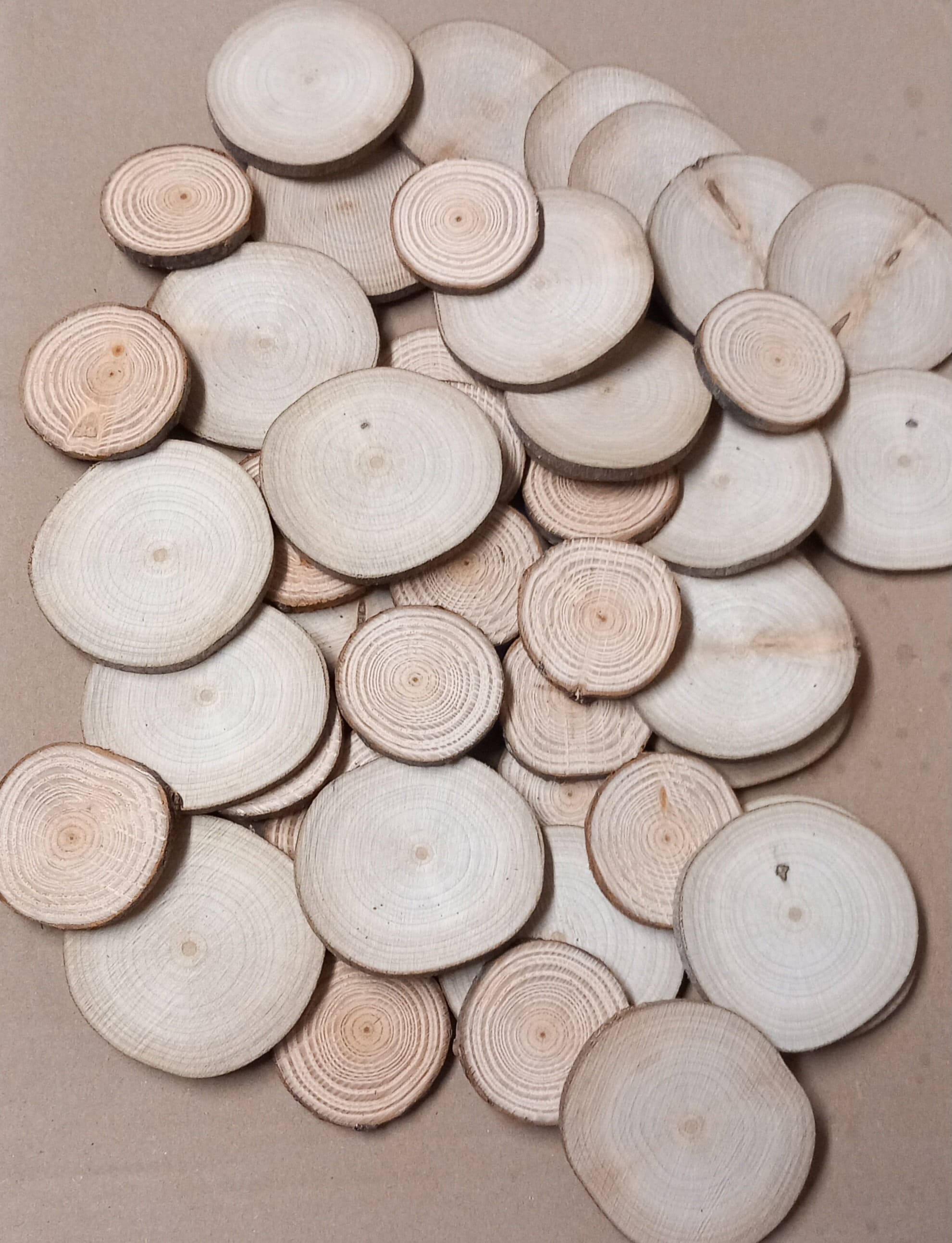 125 Pieces of Beautifully Evenly Thin Sawn Tree Branch Wood Slices ...