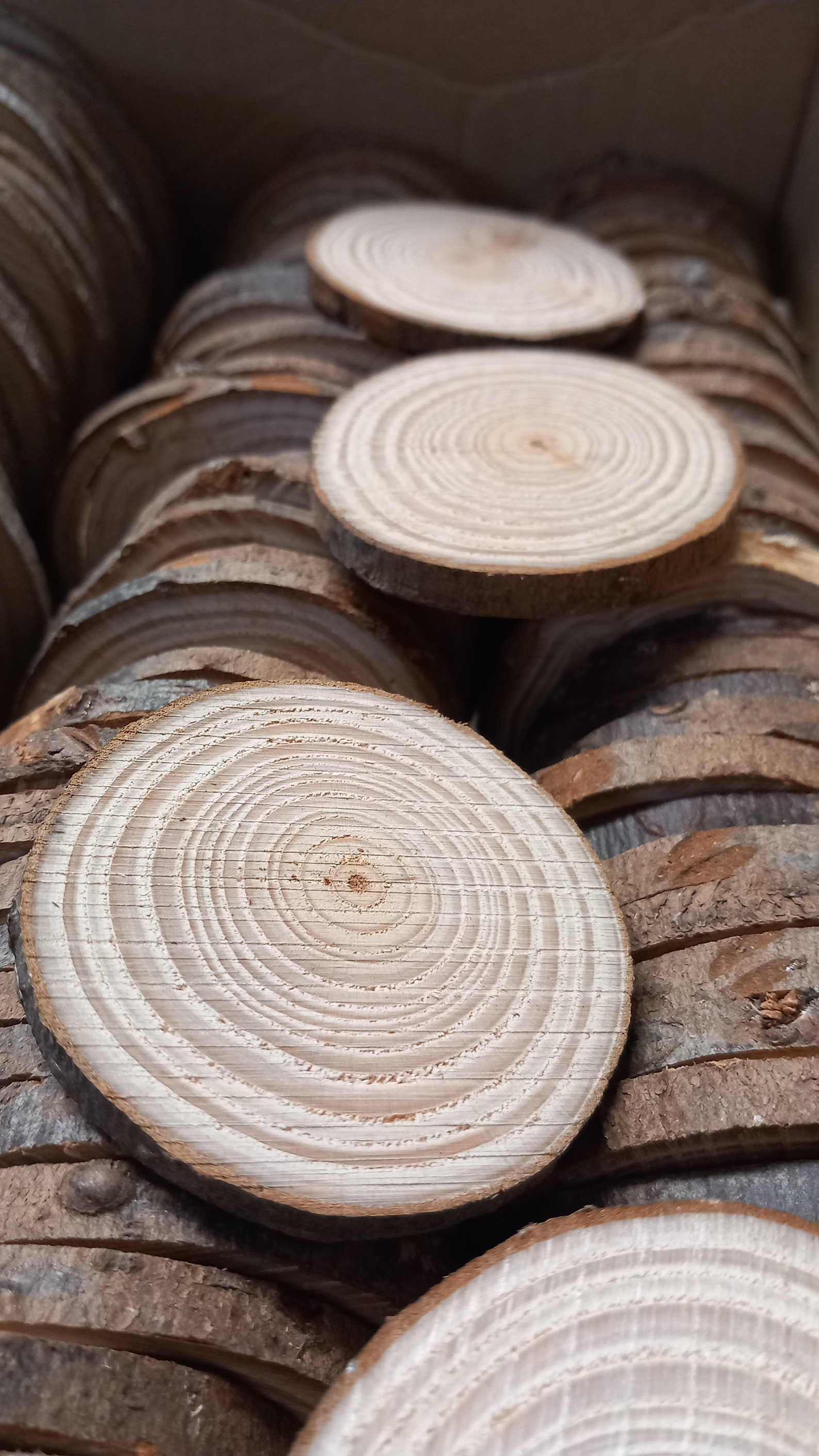 125 Pieces of Beautifully Evenly Thin Sawn Tree Branch Wood Slices ...