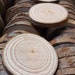 125 Pieces of Beautifully Evenly Thin Sawn Tree Branch Wood Slices ...