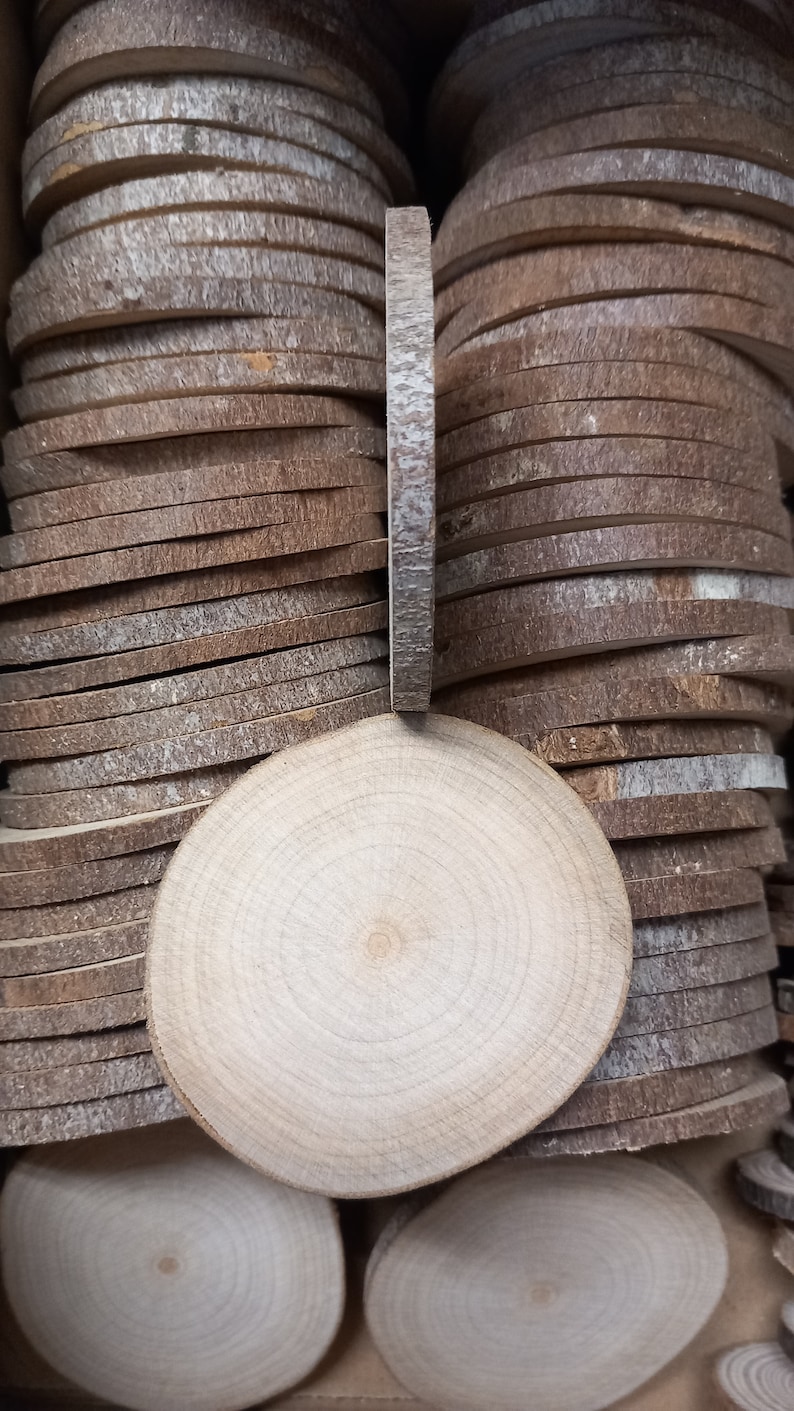125 Pieces of Beautifully Evenly Thin Sawn Tree Branch Wood Slices ...