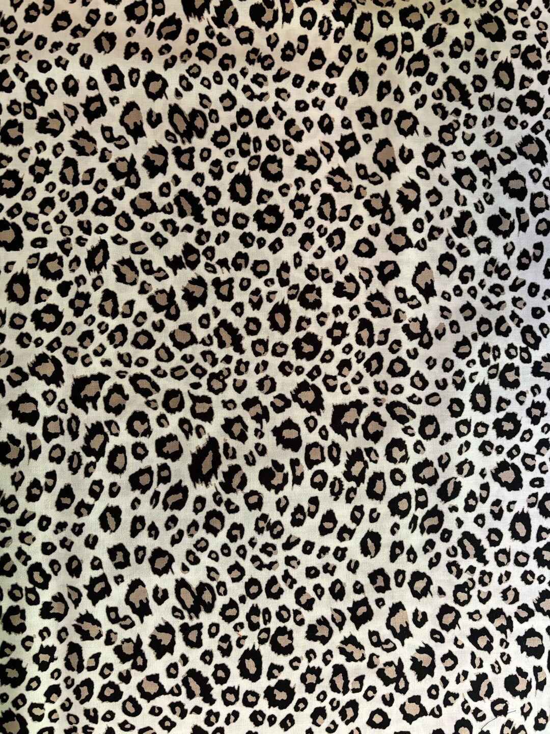 On Safari Gray - Riley Blake Designs- Cotton Quilting Fabric- by the ...
