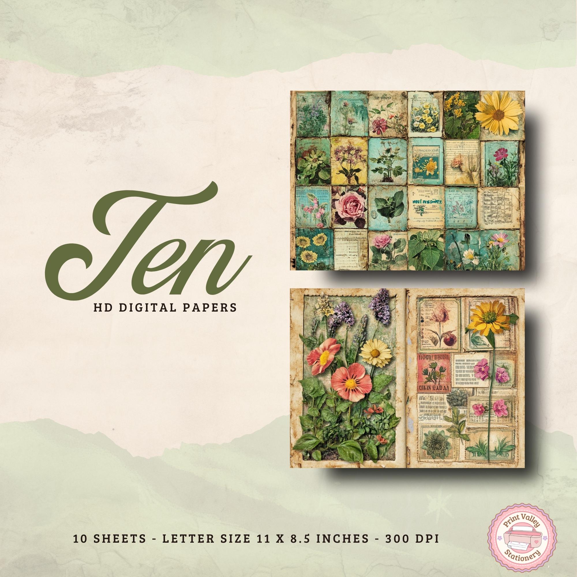 Vintage Botanical Digital Paper, Aged Nature Plant, Herb Scrapbook ...