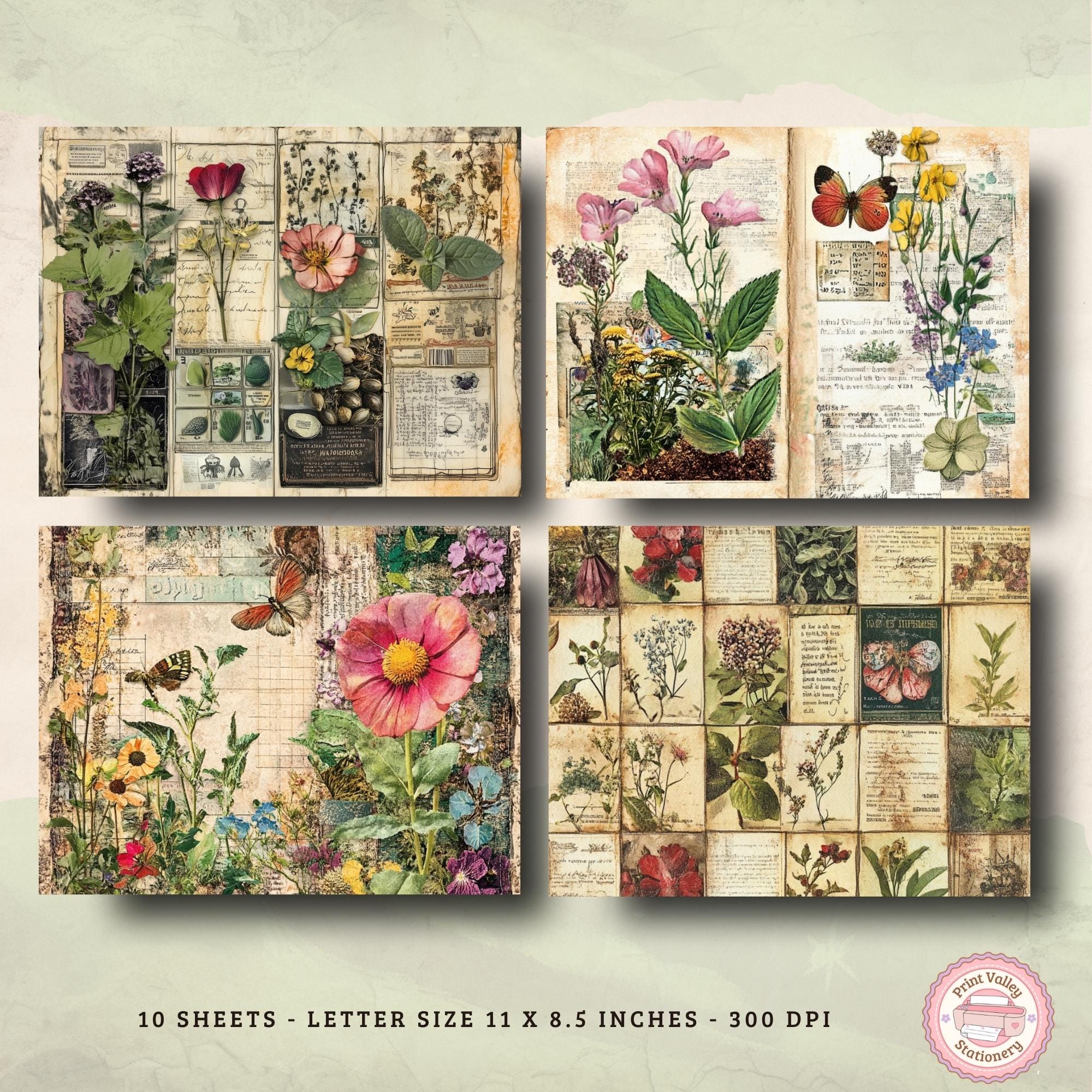 Vintage Botanical Digital Paper, Aged Nature Plant, Herb Scrapbook ...