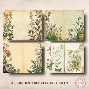 Botanical Plant Printable Paper, Herb Scrapbook Collage Sheets ...