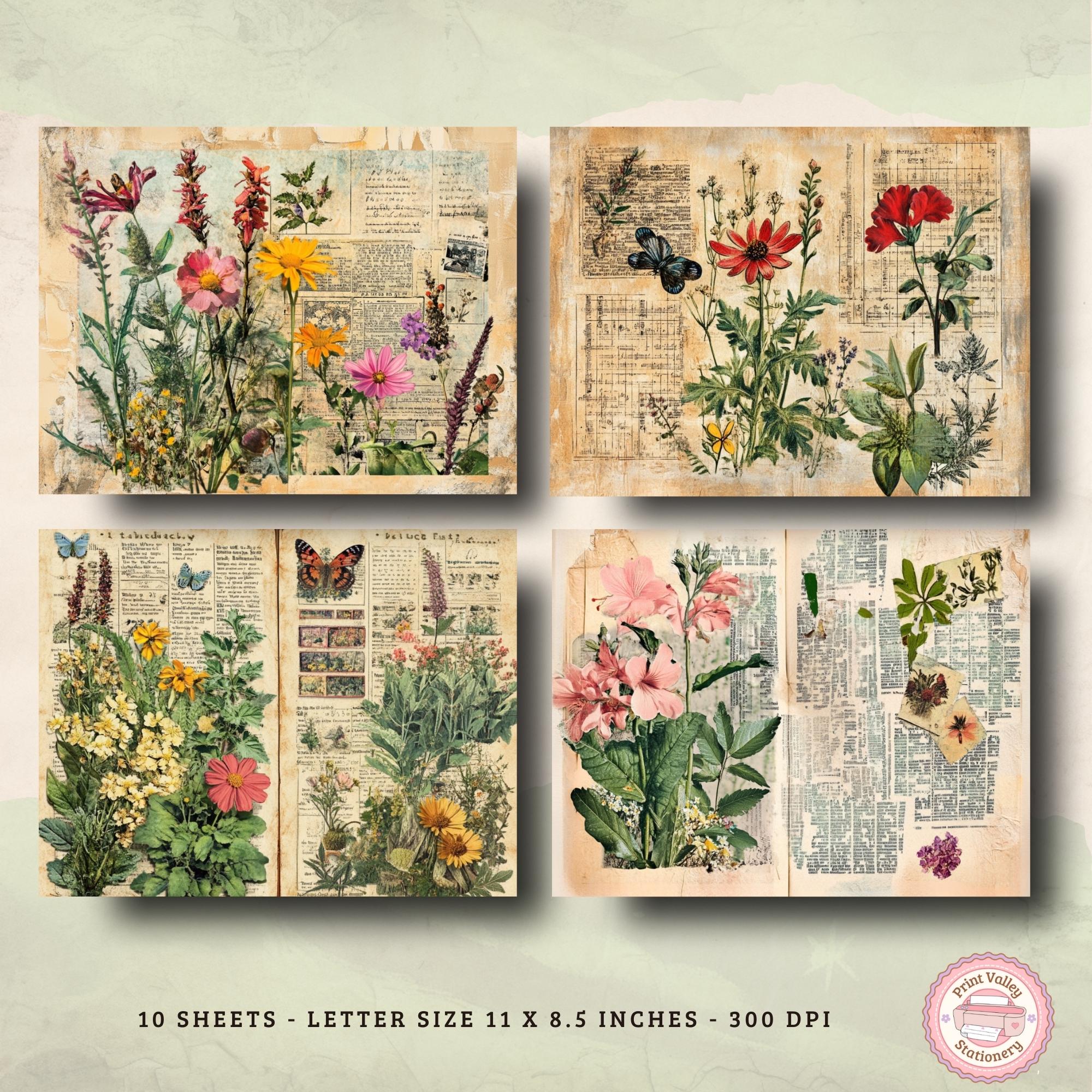 Vintage Botanical Digital Paper, Aged Nature Plant, Herb Scrapbook ...