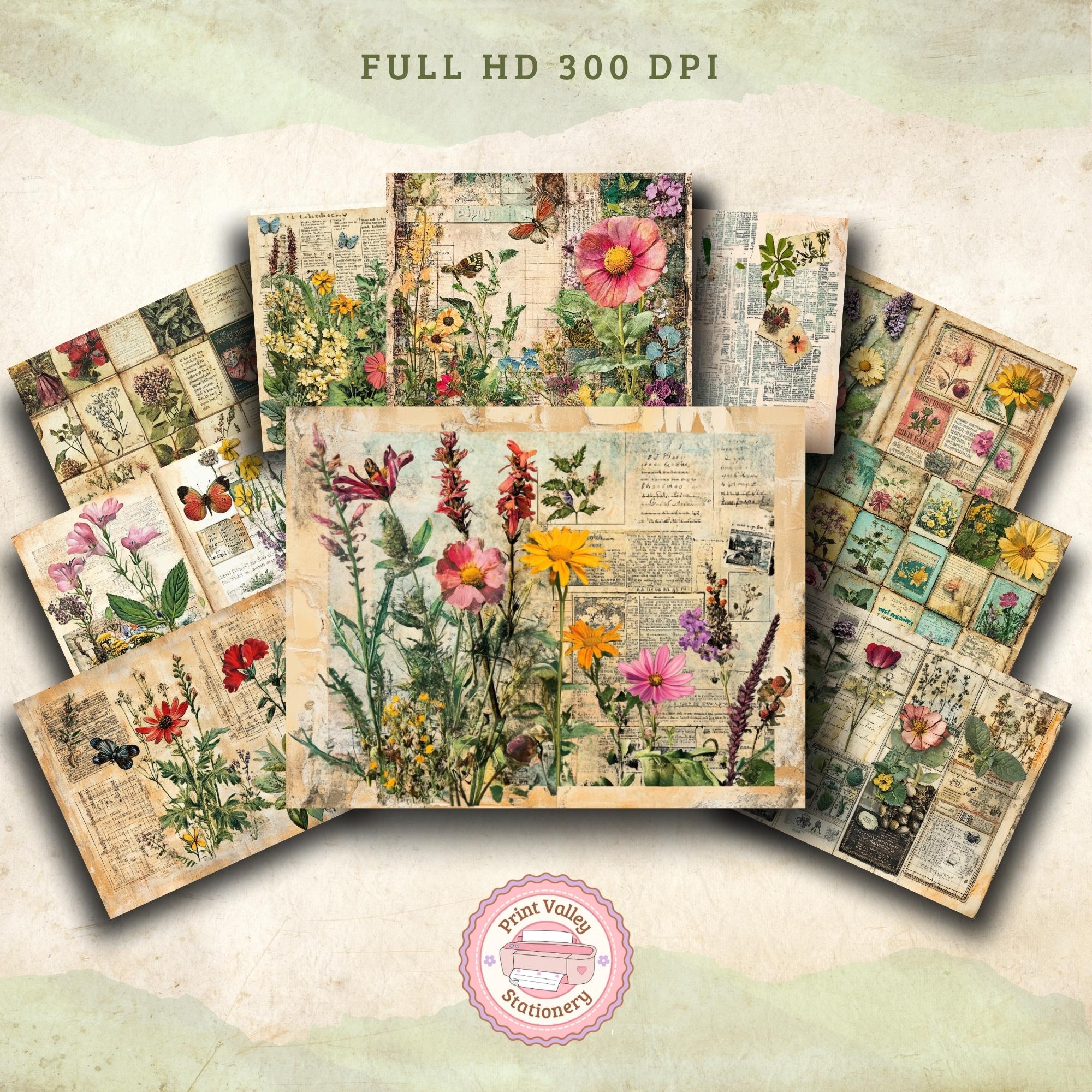 Vintage Botanical Digital Paper, Aged Nature Plant, Herb Scrapbook ...