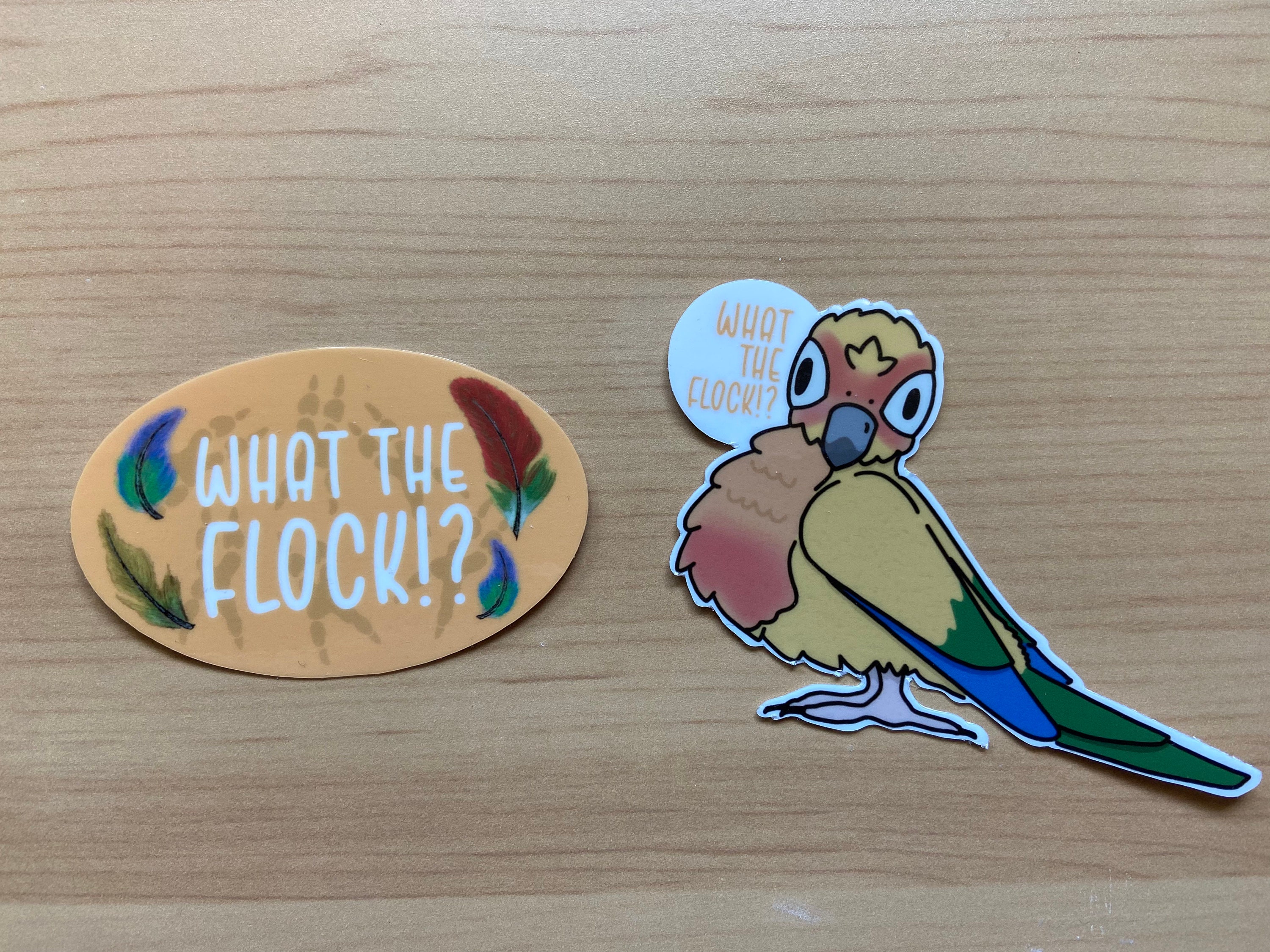 Conure Stickers - What the Flock!? - Green Cheek Conure - Sun Conure ...