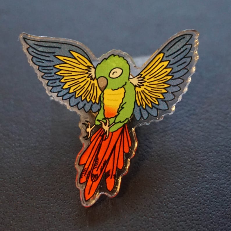 Conure Pin Flying Green Cheek Conure Flying Sun Conure Happy Birb Bird ...