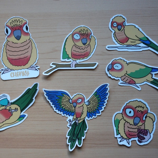 Sun Conure Vinyl Stickers - Etsy
