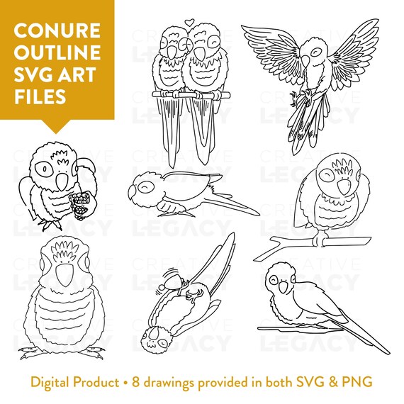 Conure Outlined Digital Art Files 8 SVG & PNG Bundle - Etsy