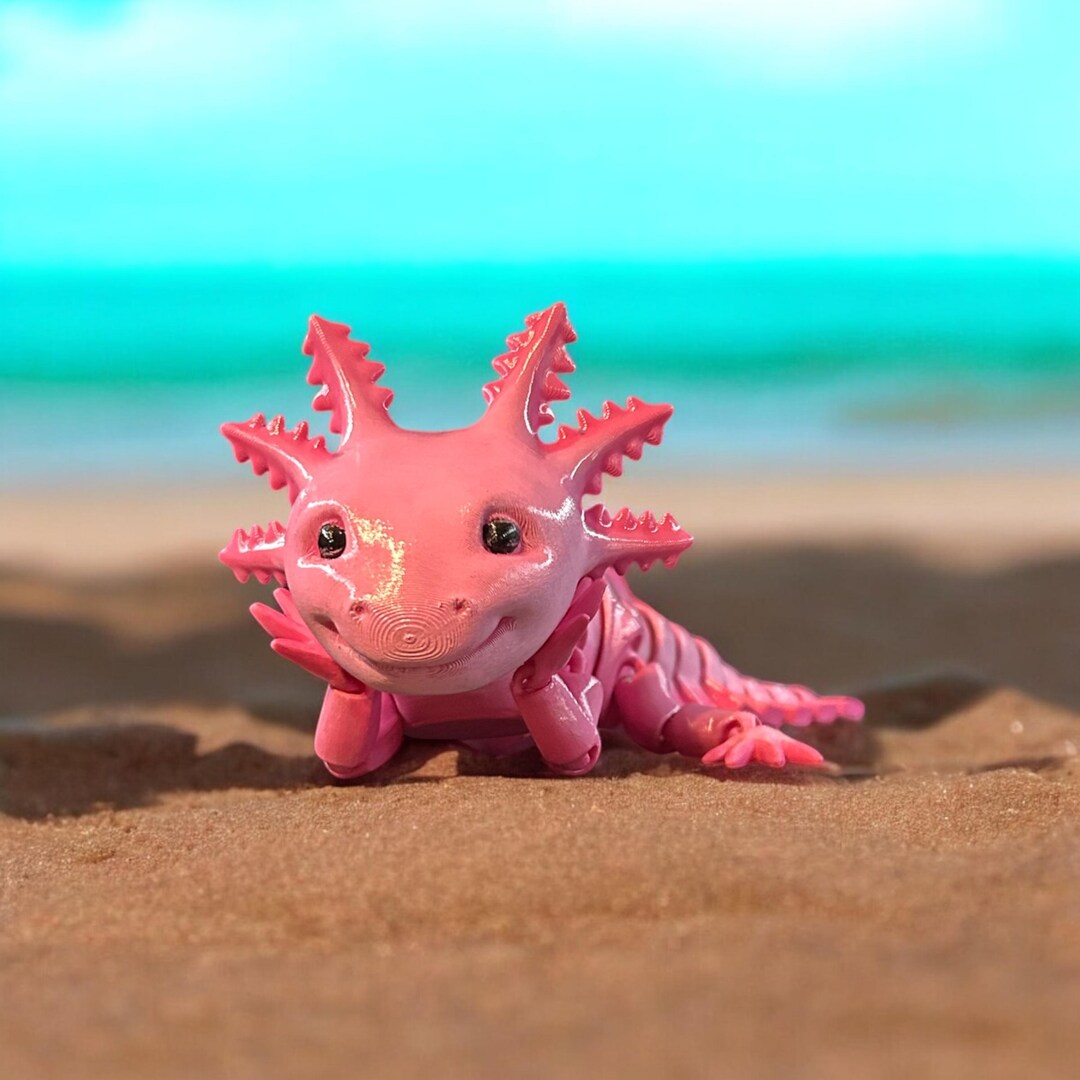 3D Printed Articulated Axolotl Toy – Hand-painted, DIY Paint Kit, Solid ...