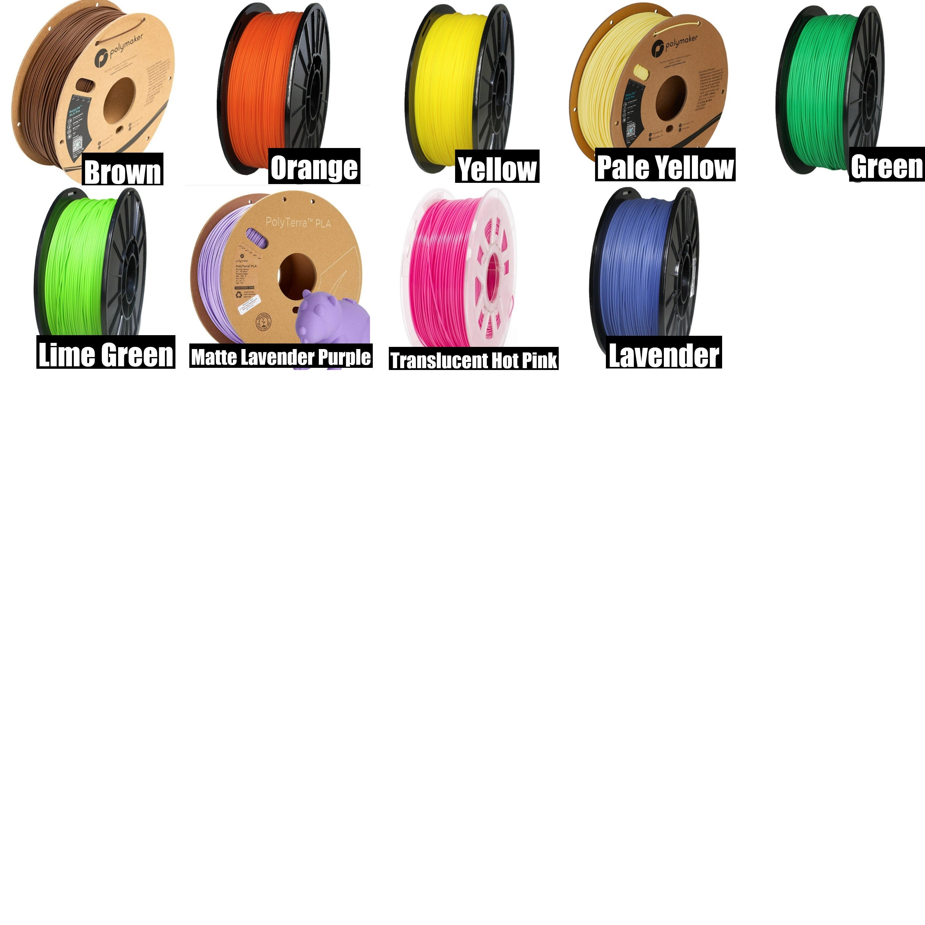 Flexi Witch Turtle 3D Print - Etsy