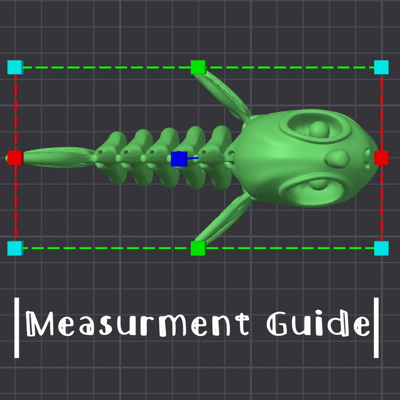 3D Printed Flexible Angler Fish Skeleton - Etsy