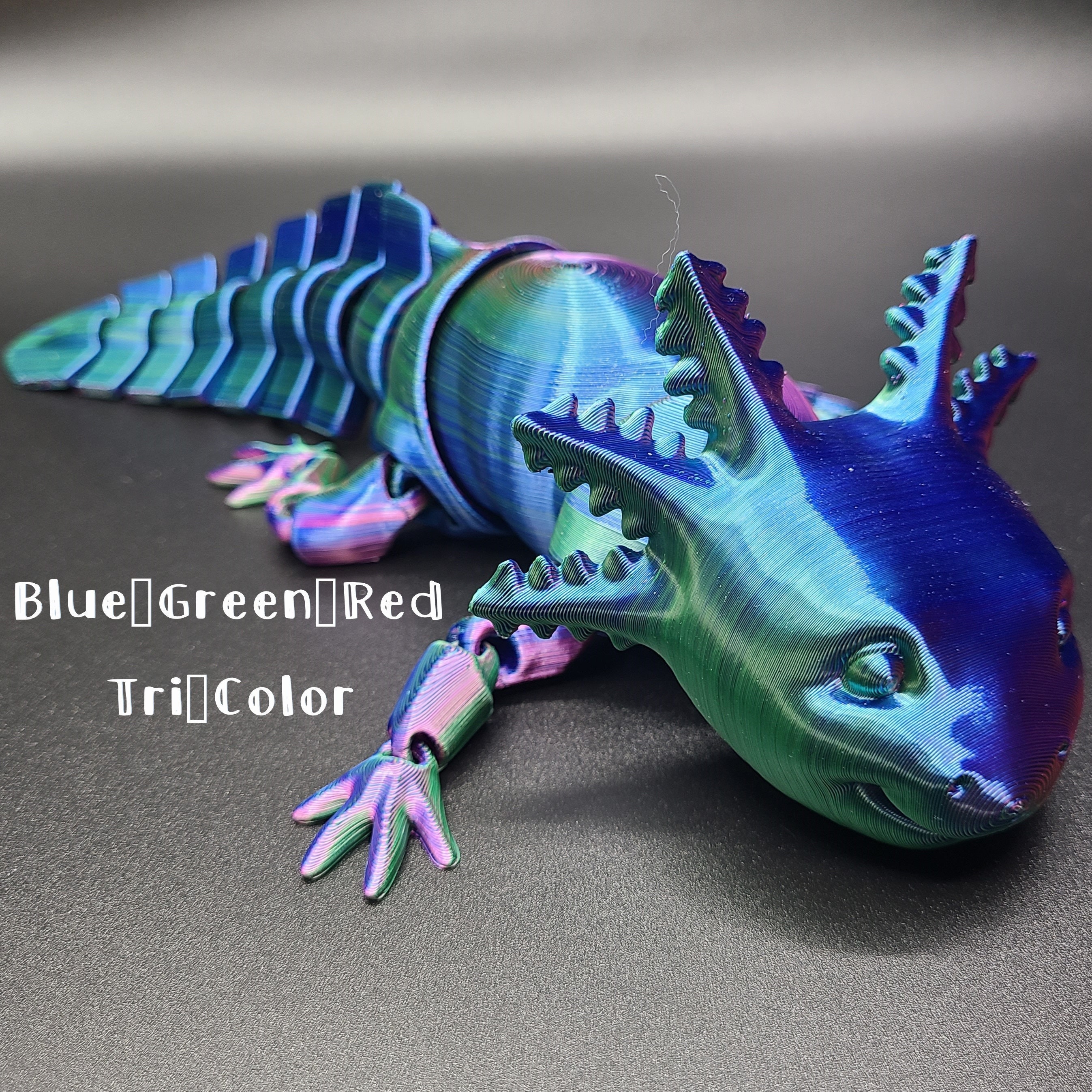 Flexi Axolotl 3D Print - Etsy Australia