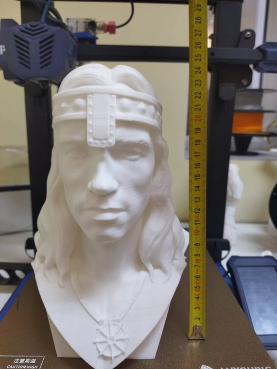 Conan the Barbarian Bust 24cm Height - Etsy