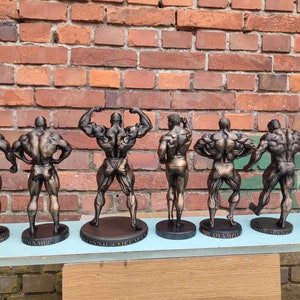 Mr Olympia Collection Pack - 7 Figurines - Arnold,jay Cutler,ronnie ...