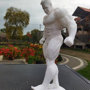Jay Cutler - Mr Olympia Figure With Stand - 20/25/34/55cm Height ...