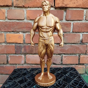 Arnold Schwarzenegger - ,,ultimate" Statue With Stand - 100cm Height ...
