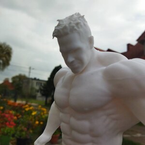 Jay Cutler - Mr Olympia Figure With Stand - 20/25/34/55cm Height ...