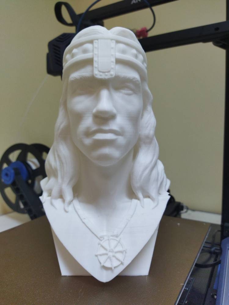 Conan the Barbarian Bust 24cm Height - Etsy