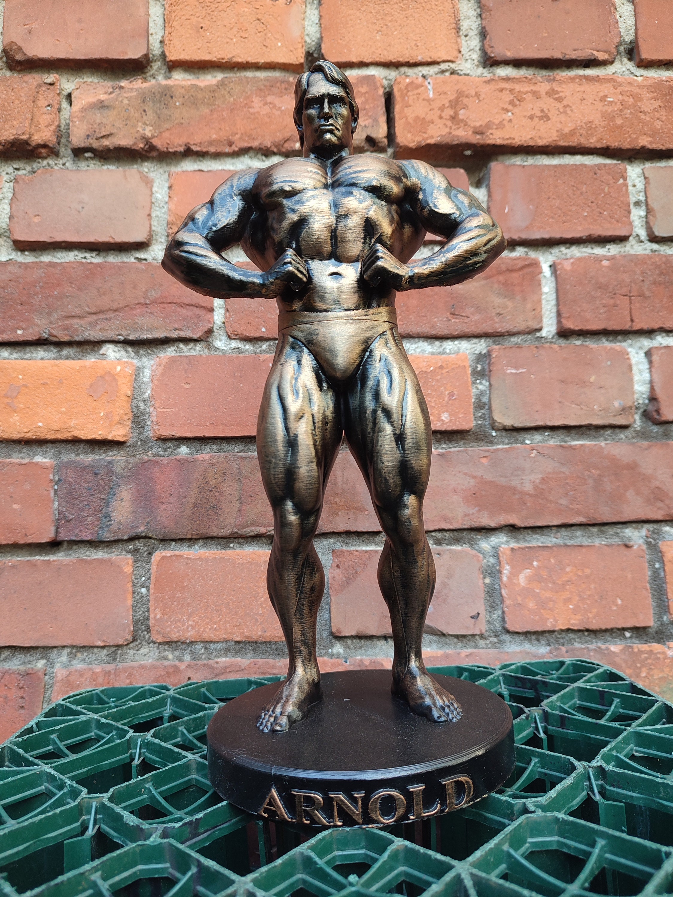 Arnold Schwarzenegger lat Spread Pose'' Statue - Etsy Canada