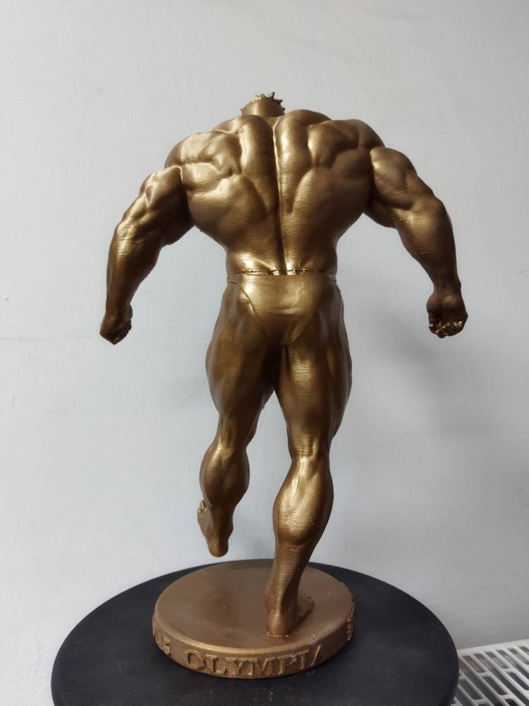Jay Cutler Mr Olympia Figure With Stand 34cm Height Dark - Etsy UK