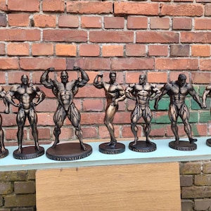 Mr Olympia Collection Pack - 7 Figurines - Arnold,jay Cutler,ronnie ...