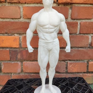 Arnold Schwarzenegger - ,,ultimate" Statue With Stand - 100cm Height ...