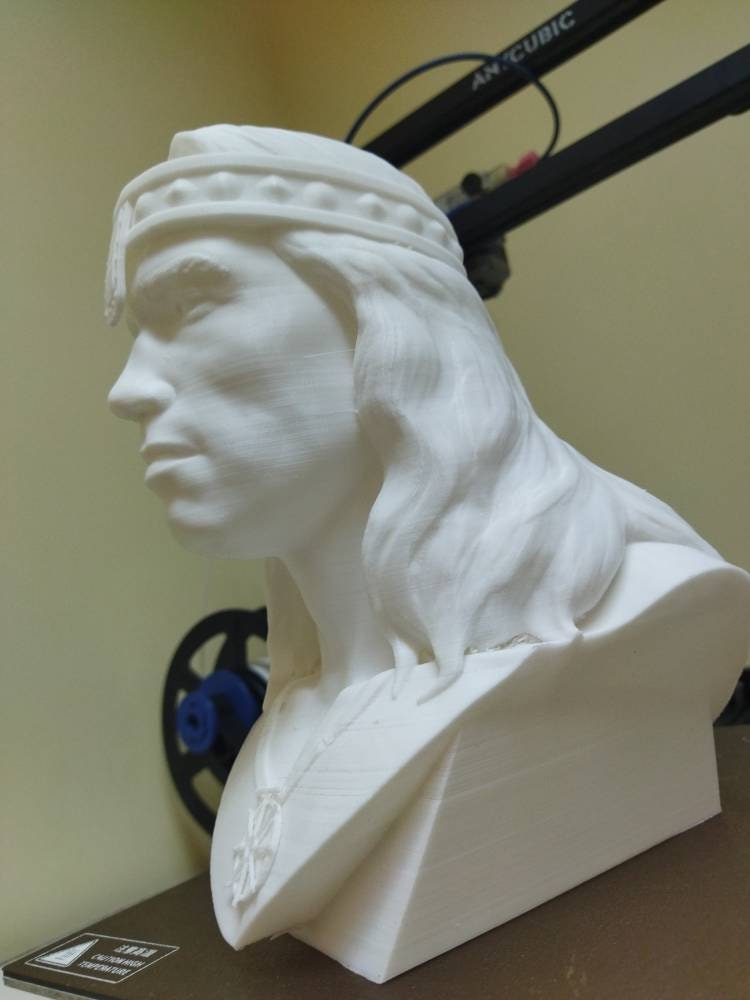 Conan the Barbarian Bust 24cm Height - Etsy