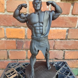 Reg Park - Hercules Statue Bodybuilder Figure Gym Sculpture 20/25/35/55 ...