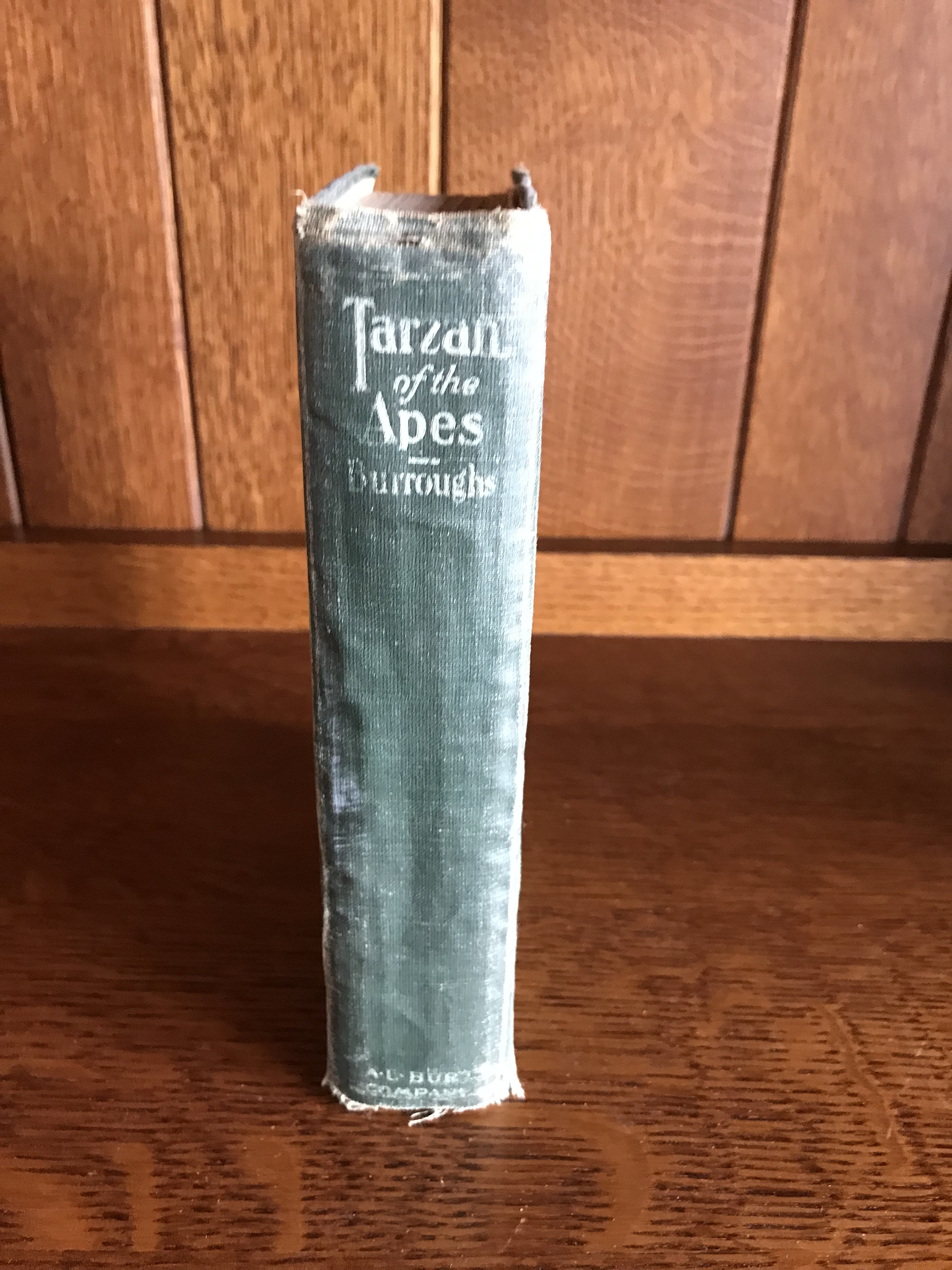 Tarzan of the Apes. There is Some Loose Binding and Mild Water - Etsy
